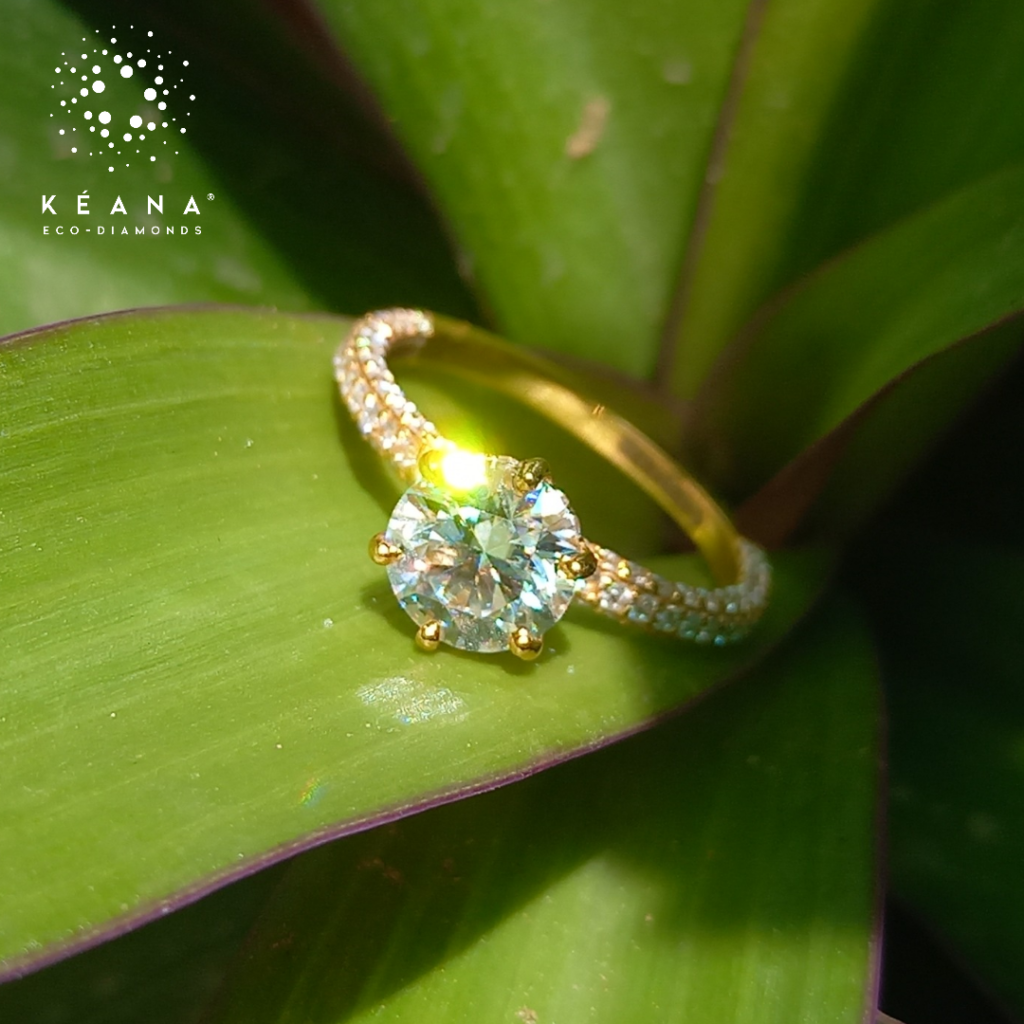 1.6ct Round Solitaire Ring with hidden Halo and 3D Studded Band | Kéana ...